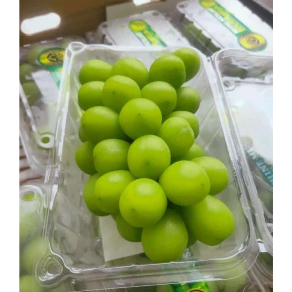 Jual BUAH ANGGUR HIJAU MUSCAT PACK 500 gr | Shopee Indonesia