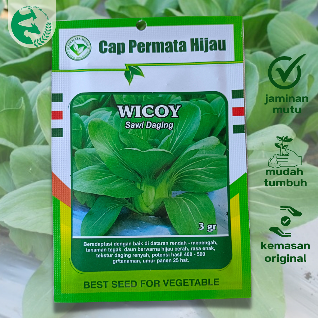 Jual Benih Sawi WICOY F1 3 Gram Sawi Daging Pakcoy Cap Permata HIjau ...