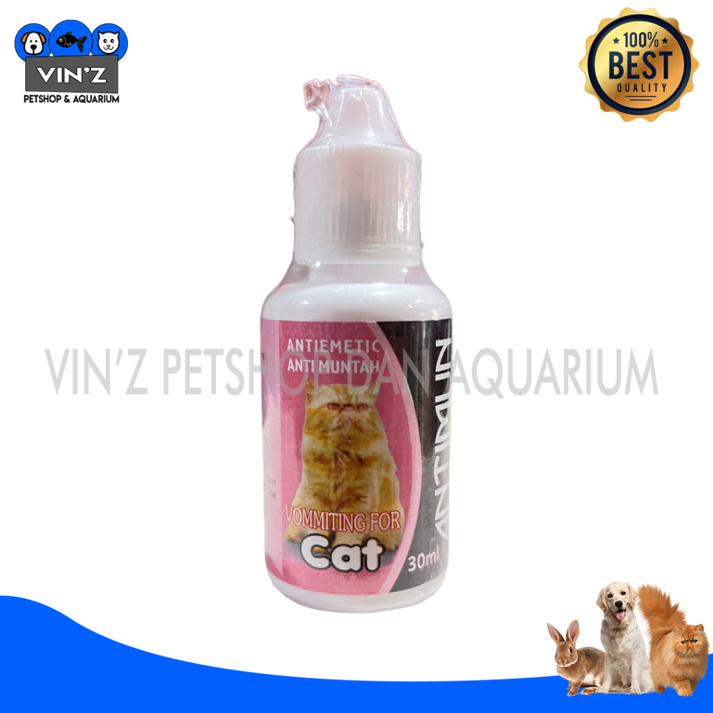 Jual Obat Muntah Kucing Antimun Obat Vitamin Kucing Anti Muntah Infeksi ...