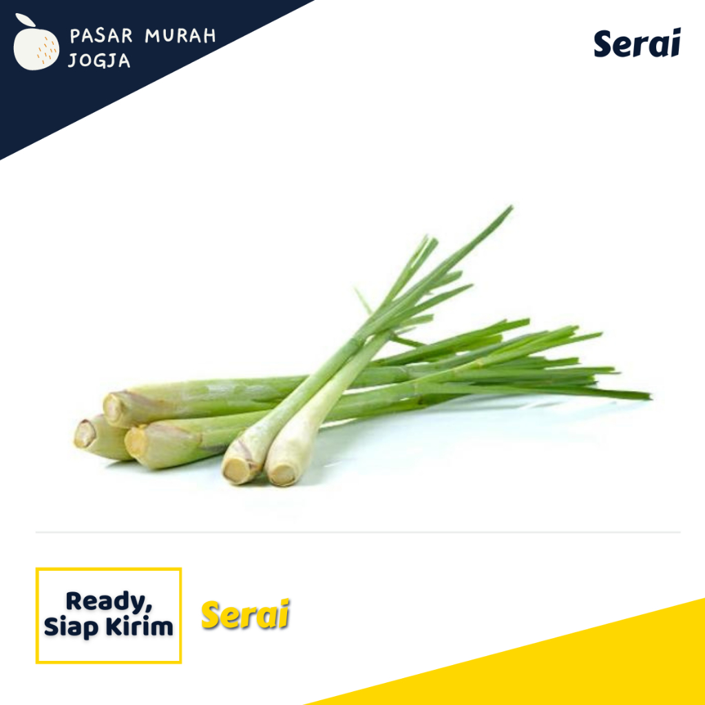 Jual Daun Sereh Per Ikat Daun Serai Fresh Bumbu Dapur Rempah Masak ...