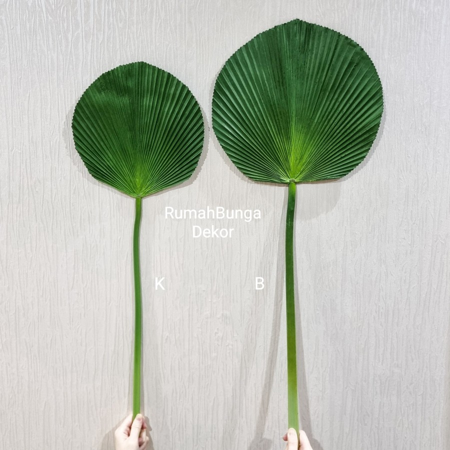 Jual Daun Palem Kipas Lbr Fan Palm Artificial ( Ada 2 Ukuran ) | Shopee ...