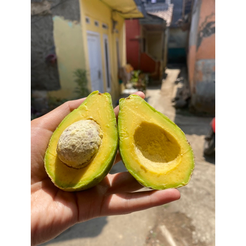 Jual Alpukat mentega | Shopee Indonesia