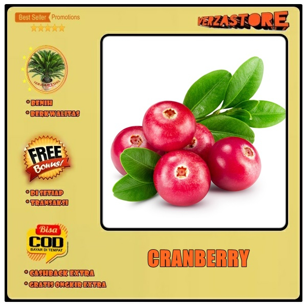 Jual 50-Biji Benih Buah Cranberry Merah Unggul | Shopee Indonesia