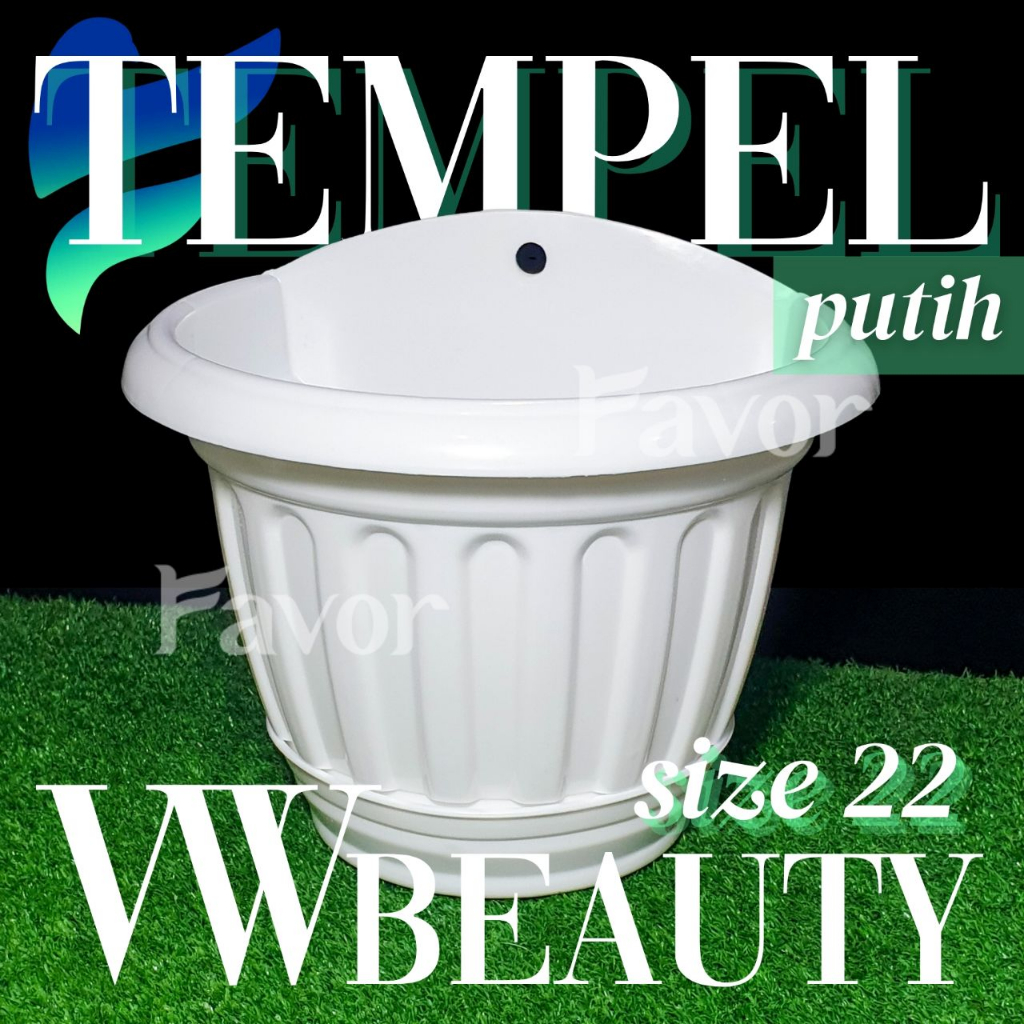 Jual Pot Tempel Dinding VW Beauty 22 GBL PUTIH Tanaman Hias | Shopee ...