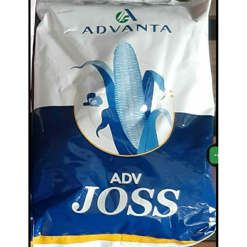 Jual Benih Jagung ADV JOSS 313 hibrida 1kg | Shopee Indonesia