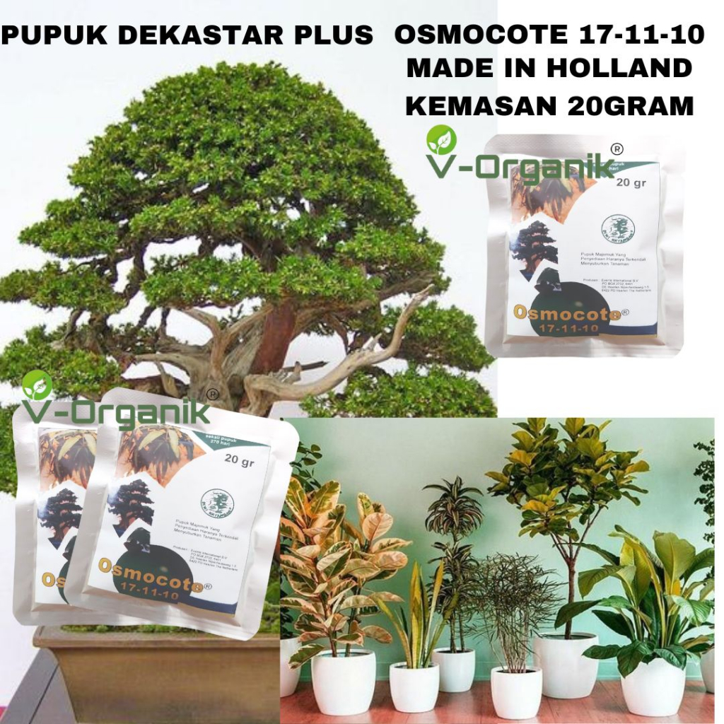 Jual Pupuk Dekastar Plus 17-11-10 20gram Untuk Daun Dan Tanaman Hias ...