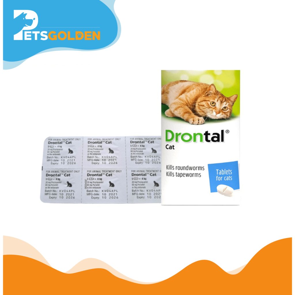 Jual Obat Cacing Kucing DRONTAL Cat Tablet (1 Tablet) | Shopee Indonesia