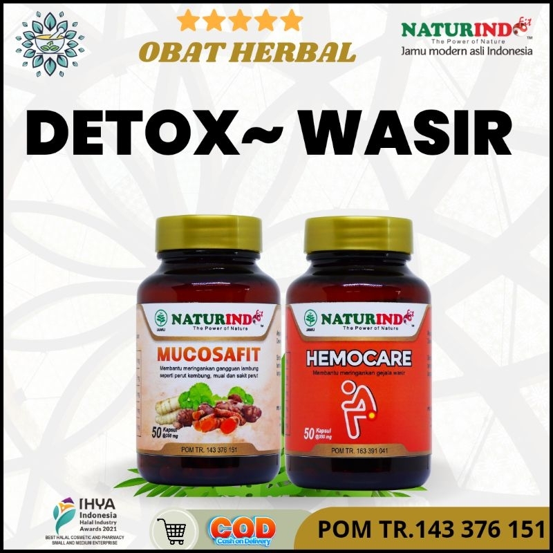 Jual Obat Gangguan Pencernaan Perut Sebah Detox Detoks Usus Kotor ...