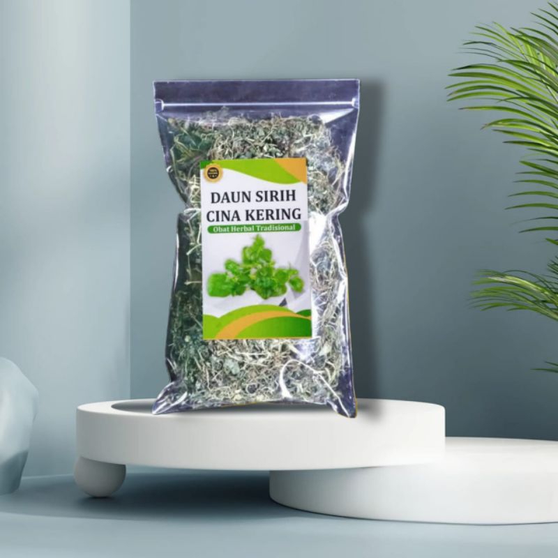 Jual Daun Sirih Cina Kering 50 gr | Shopee Indonesia