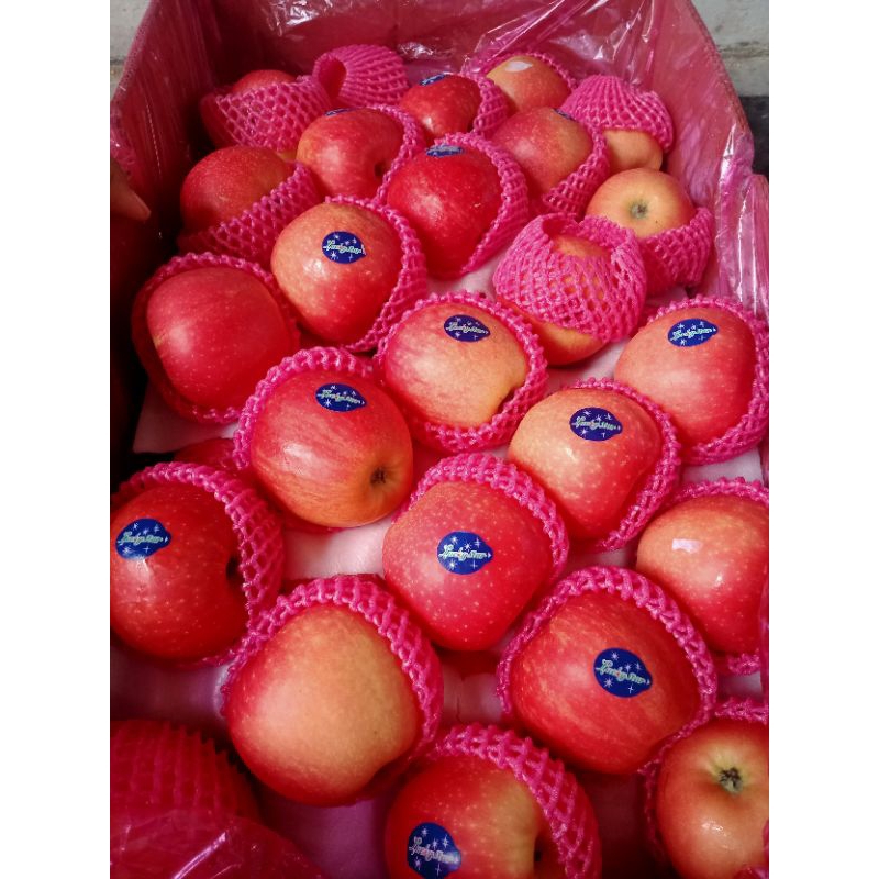 Jual Apel Gala/1kg | Shopee Indonesia