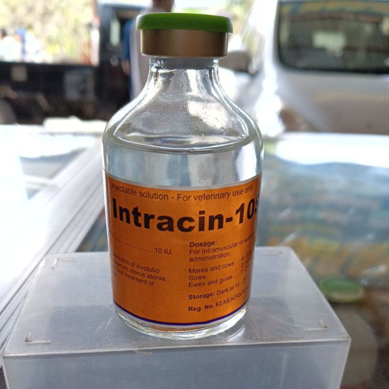 Jual Intracin-10 50ml Hormon Perangsang Kontraksi Uterus dan Kelenjar Mamae | Shopee Indonesia