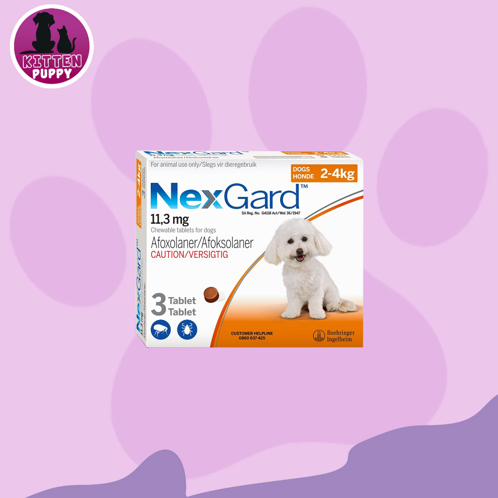 Jual Obat Kutu Tungau Demodex Anjing NexGard Tablet | Shopee Indonesia