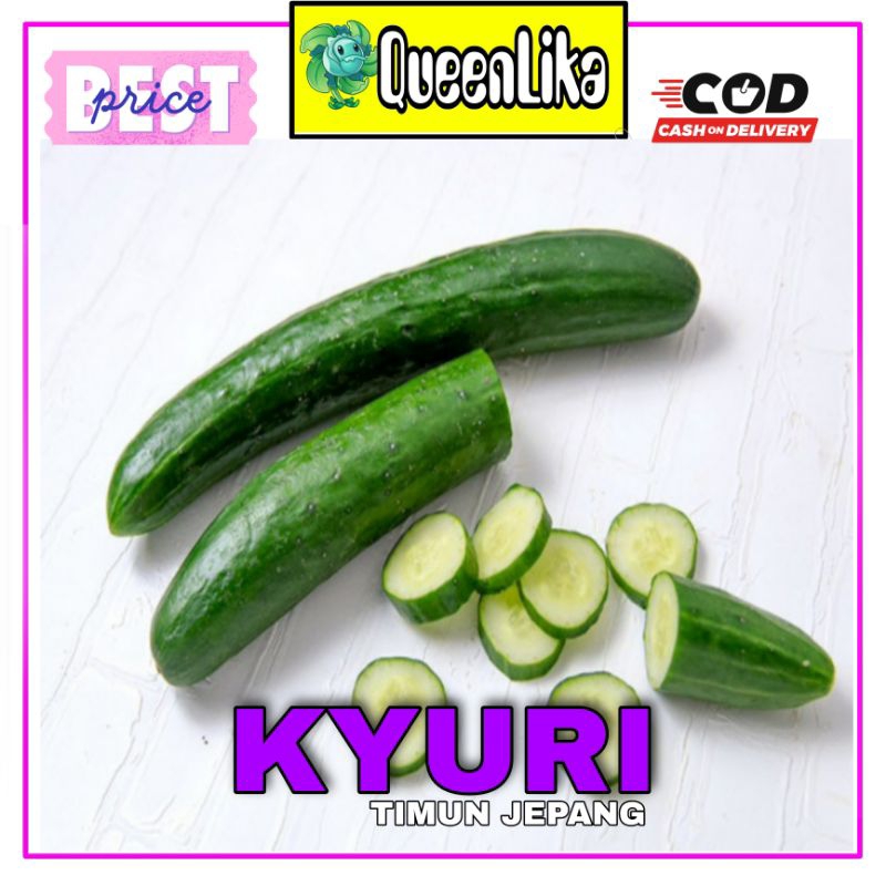Jual timun jepang/ kyuri fresh 1kg | Shopee Indonesia