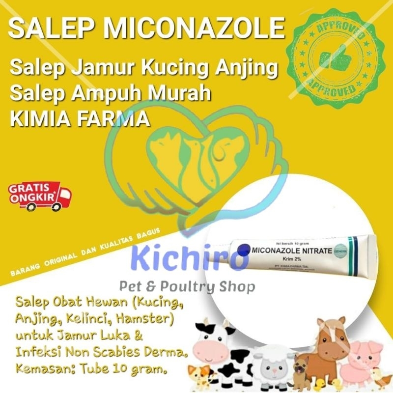 Jual Salep Miconazole Nitrate Krim 2% isi 10 gram Mikonasol Salep Jamur ...