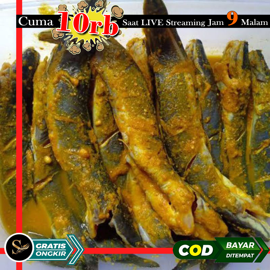 Jual Ikan Lele Segar Bumbu Kuning Jawa Siap Goreng Kemasan Plastik ...