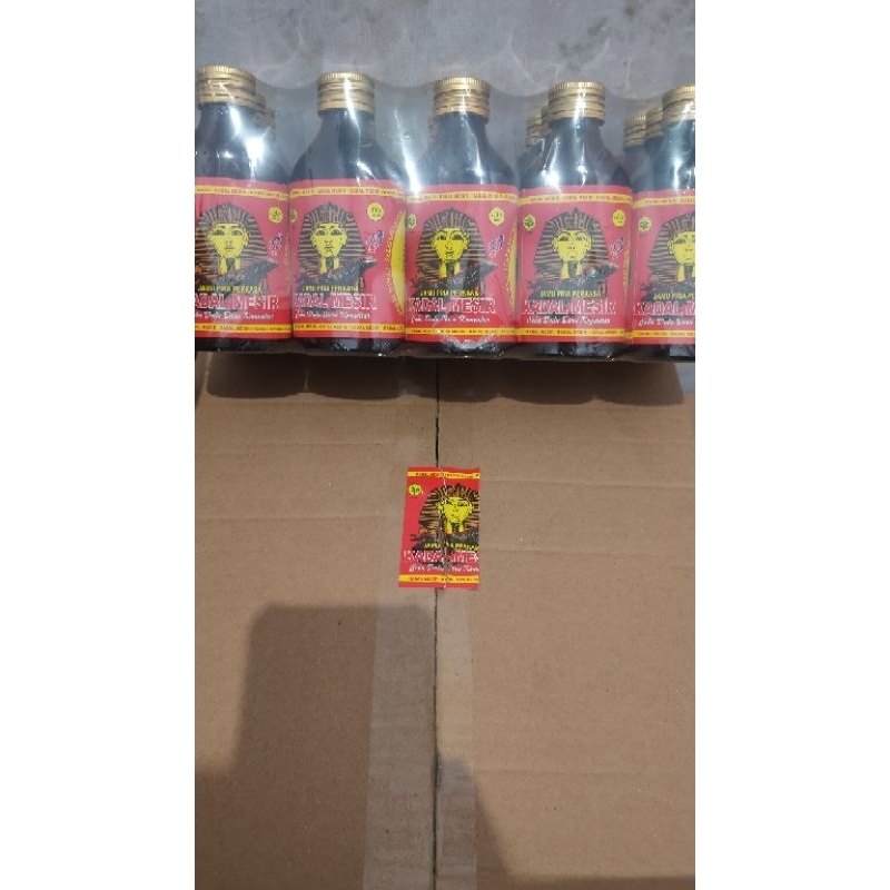 Jual Jamu Kuat Kadal Mesir Besar 1 karton(isi 60 botol) | Shopee Indonesia