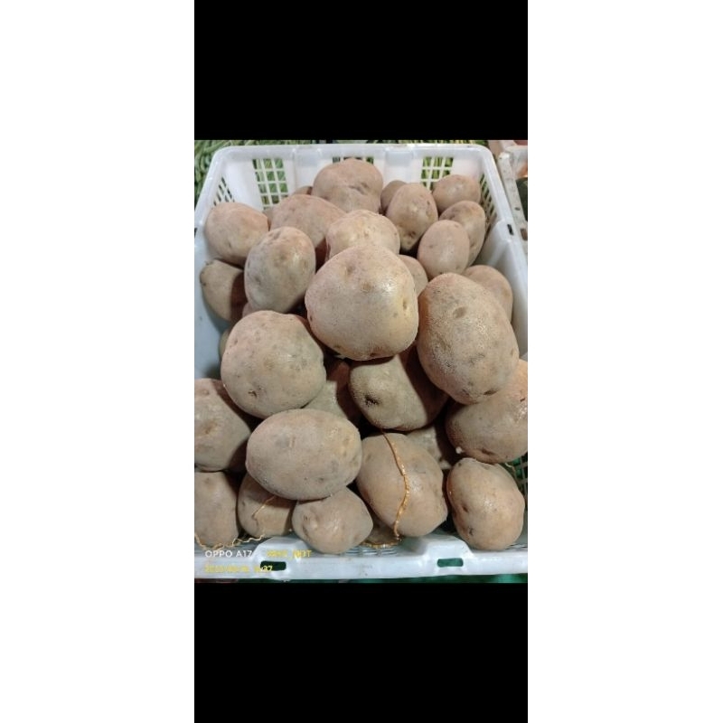 Jual kentang dieng 1 kg Ab | Shopee Indonesia