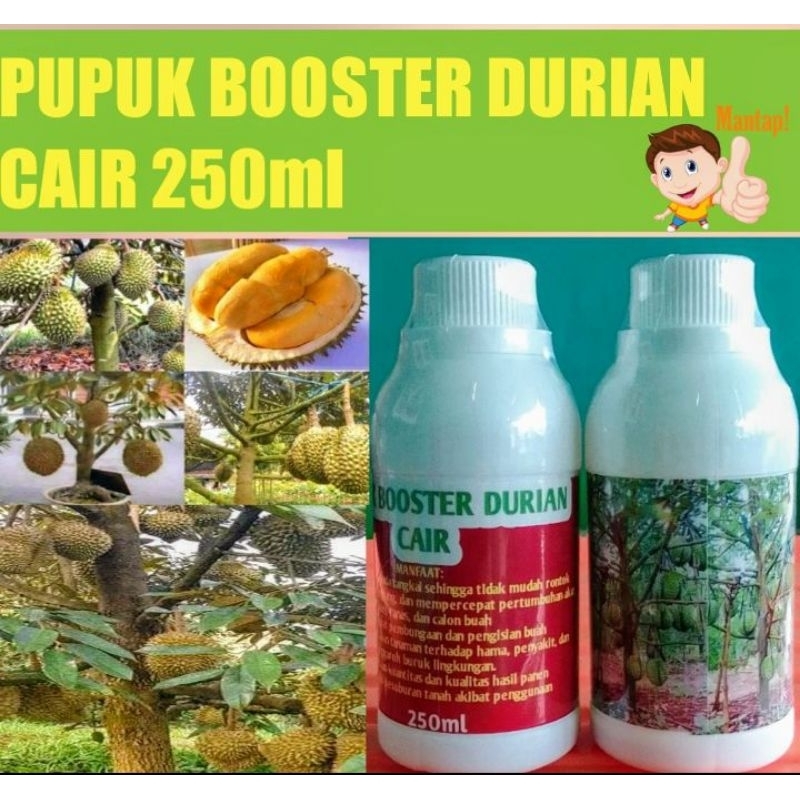 Jual PUPUK BOOSTER DURIAN 250ml CAIR | Shopee Indonesia