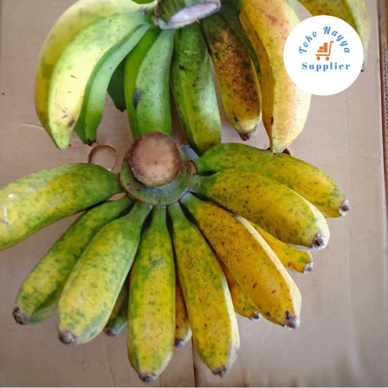 Jual Pisang Raja Bulu | Harga Per kilo | Shopee Indonesia