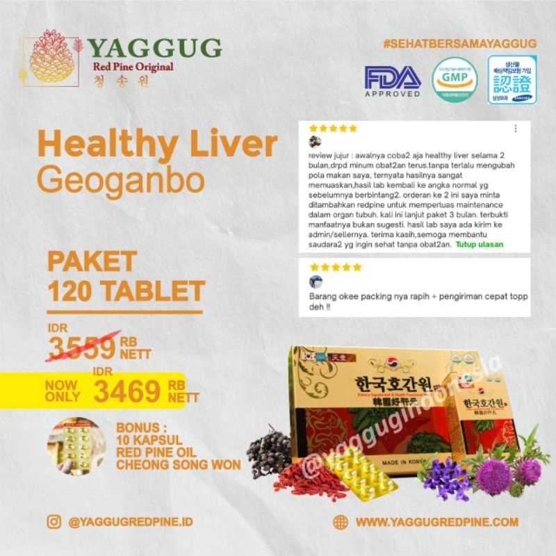 Jual Healthy Liver Geoganbo 100% Original Korea (120/240/360 Tabs ...