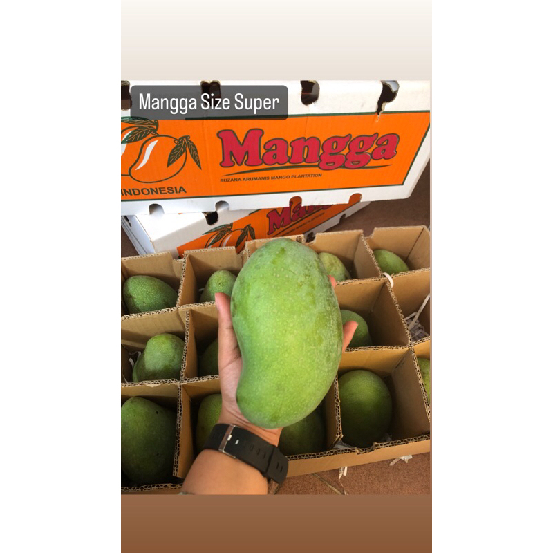 Jual Mangga Size Super / Dus Isi 15 biji | Shopee Indonesia
