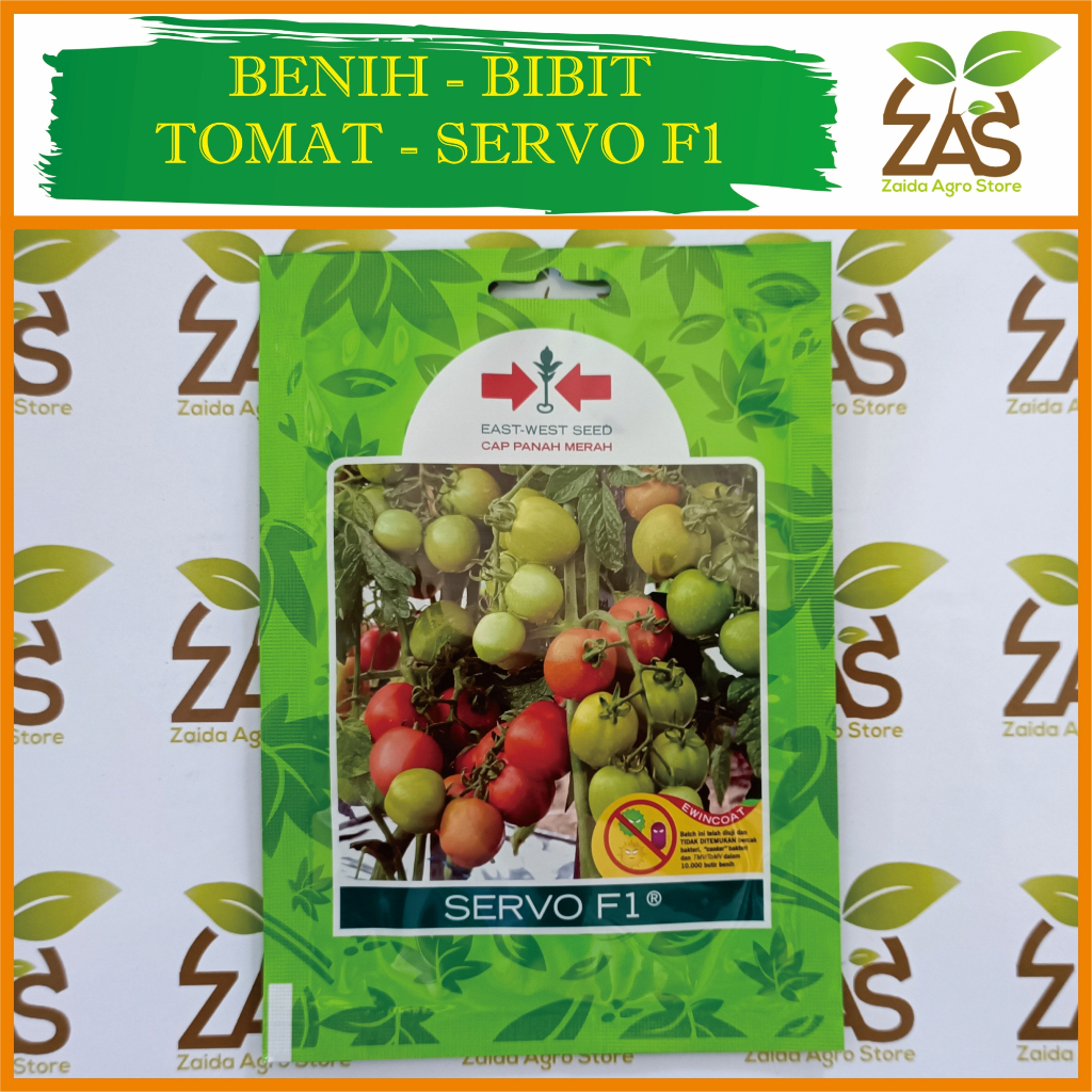 Jual BENIH BIBIT TOMAT SERVO F1 - BIBIT TOMAT - ISI 150 BUTIR - CAP ...