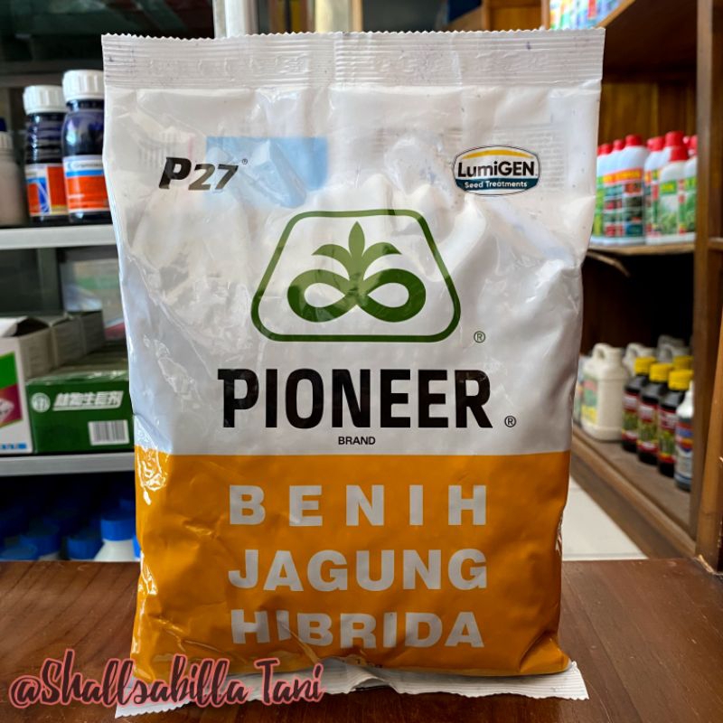 Jual [COD] BENIH JAGUNG PIONER P27 LUMIGEN/BENIH JAGUNG TAHAN BULAI ...