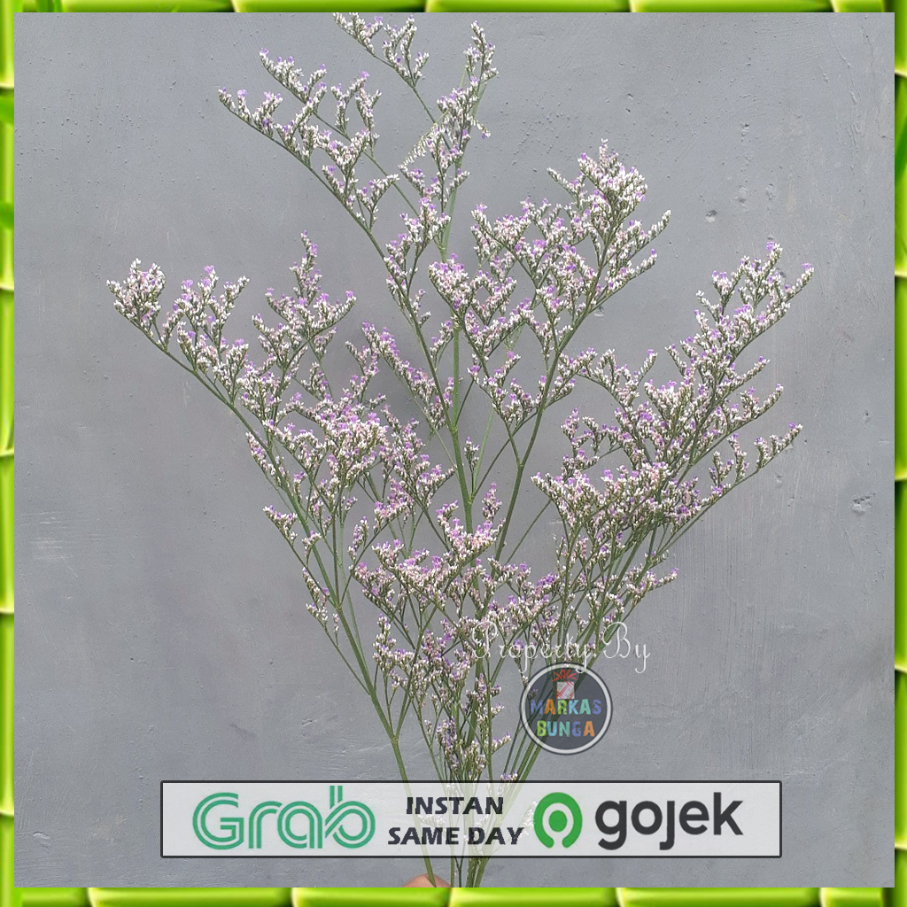 Jual Bunga Caspea Natural Purple Fresh Flower 1 IKET | Shopee Indonesia