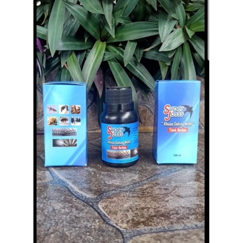 Jual SUPER JOSS OBAT HAMA WALET BASMI TOKEK DAN CICAK | Shopee Indonesia