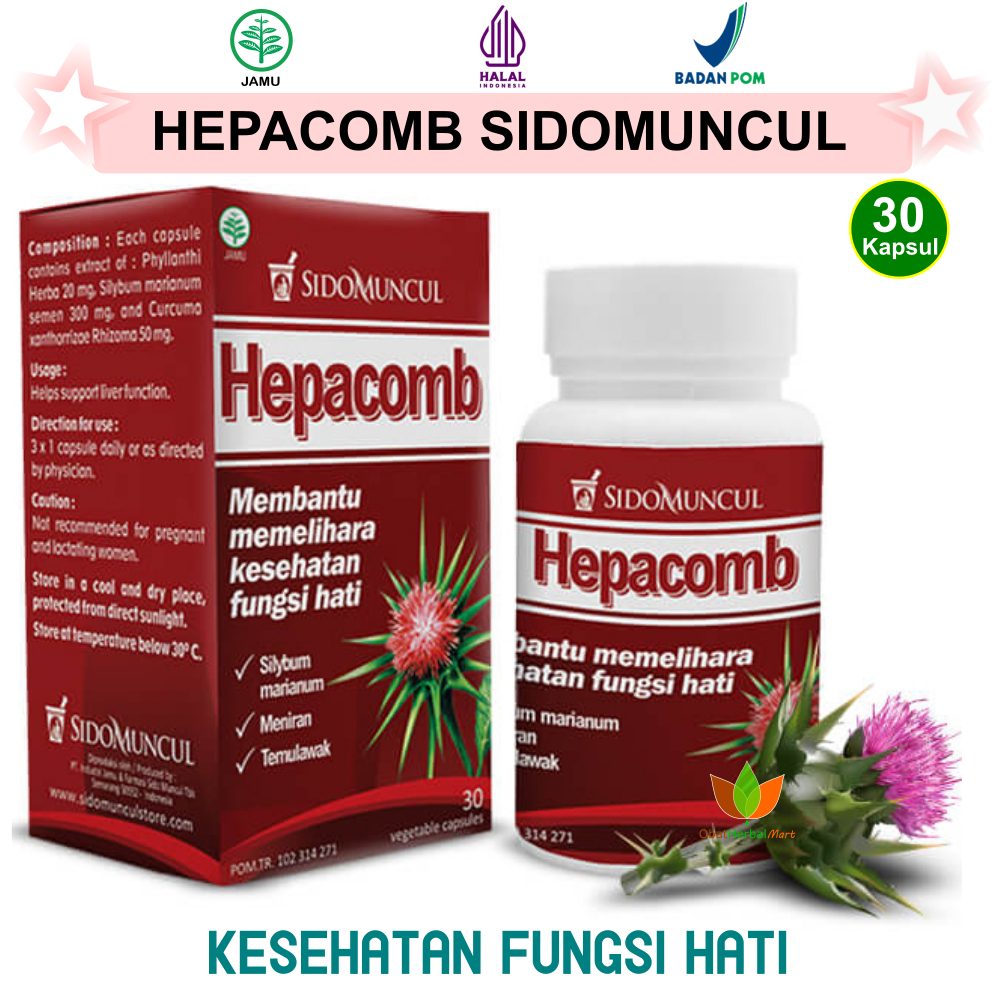 Jual 30 KAPSUL HEPACOMB SIDOMUNCUL OBAT HERBAL HEPATITIS, SIRORIS SAKIT ...