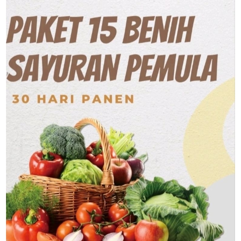 Jual BENIH SAYUR SELADA / PARE / KALE SIAP TANAM | Shopee Indonesia