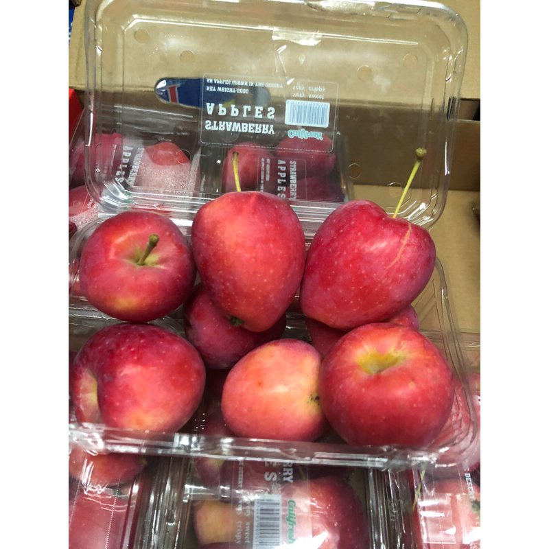 Jual Strawberry Apples Califresh 500 gram / pack | Shopee Indonesia