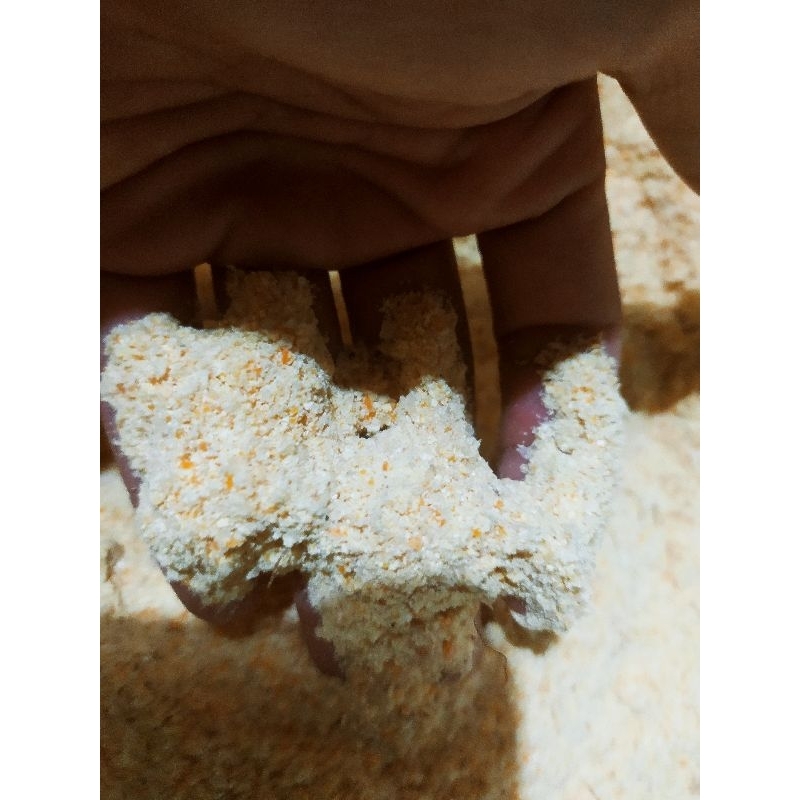 Jual Jagung halus jagung giling campuran pakan ternak 1kg | Shopee ...