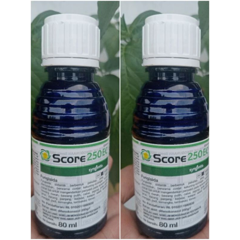 Jual SCORE 250ec-80ml | Shopee Indonesia
