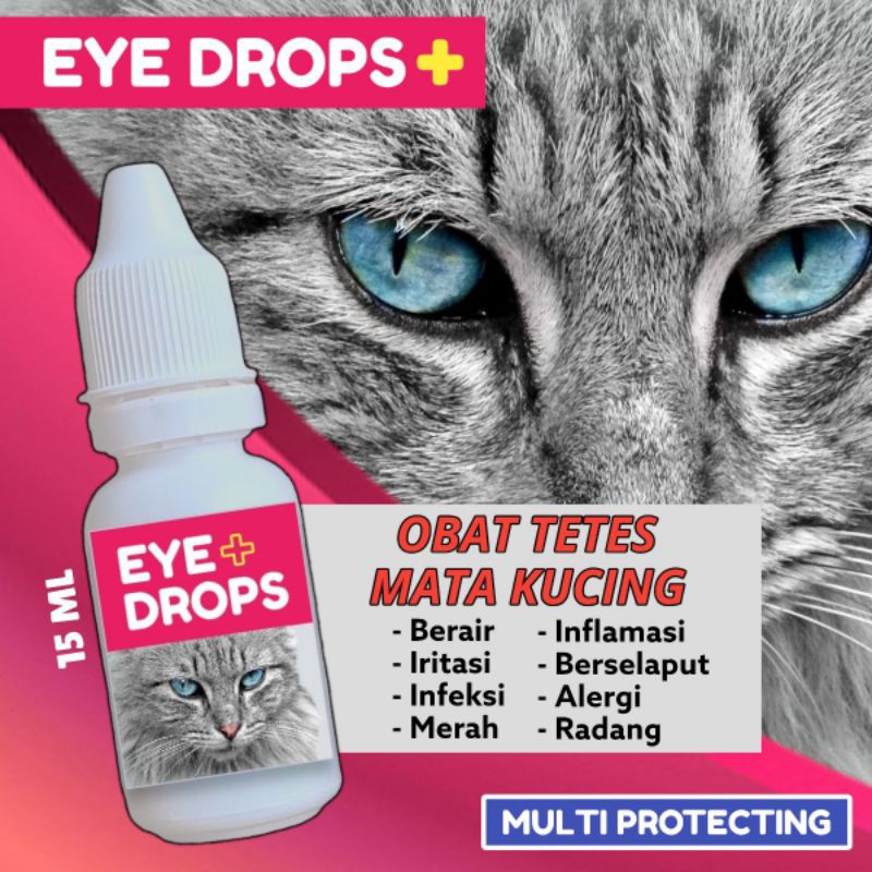 Jual Obat Tetes Mata Kucing EYE DROPS Obat Sakit Mata Kucing Belekan ...