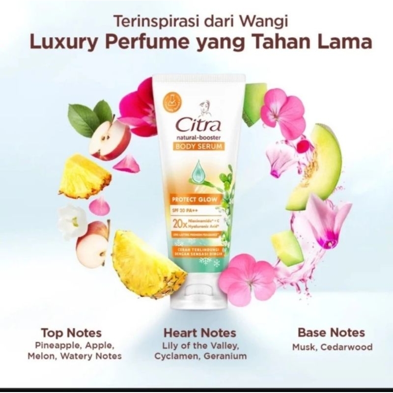 Jual citra natural booster body serum protect glow 180 ml | Shopee ...