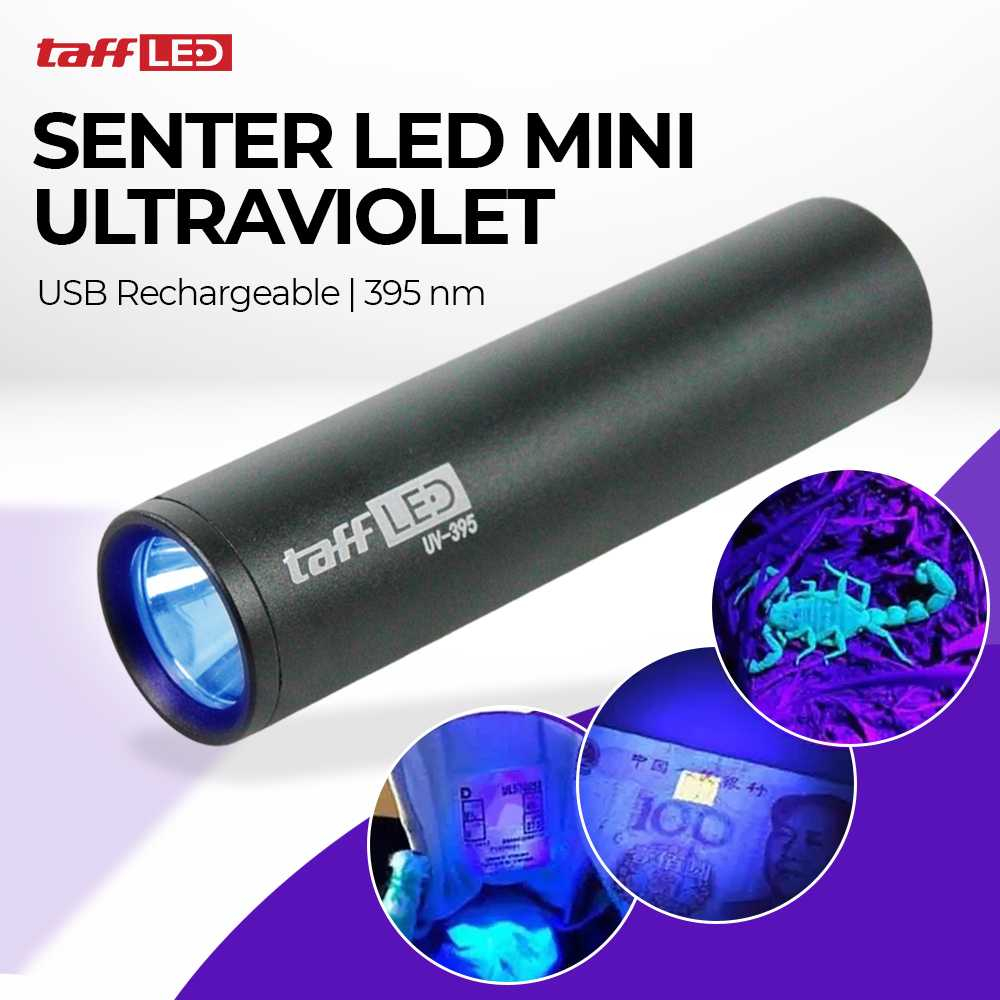 Jual Senter LED Mini Ultraviolet UV Light USB Rechargeable 395nm UV-395 | Shopee Indonesia
