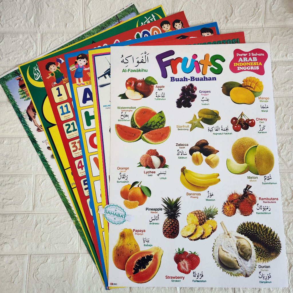 Jual 1 PCS POSTER EDUKASI ANAK PAUD TK DAN SD | Shopee Indonesia
