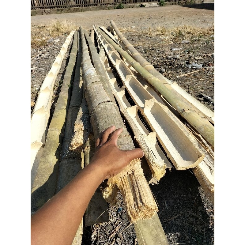 Jual Bambu petung bahan layangan | Shopee Indonesia