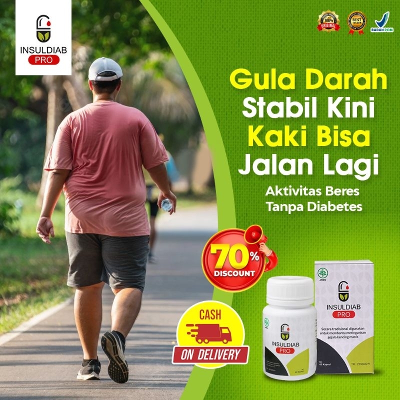 Jual Insuldiab Pro Obat Diabetes Kolesterol Normal Ampuh 100% Herbal ...