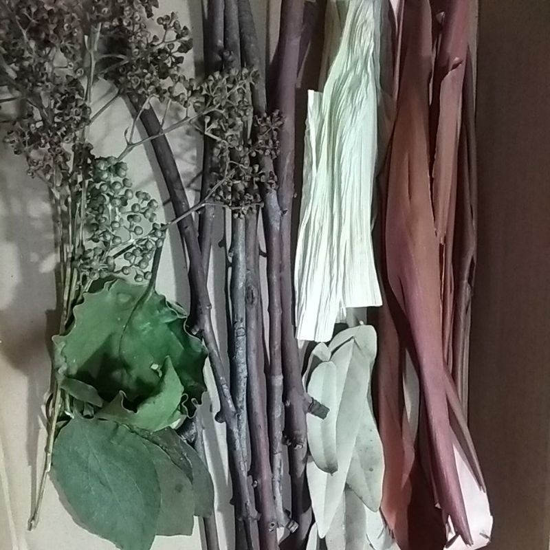 Jual Daun kering Ranting Kolase daun Kulit pohon prakarya diy daun dan ...