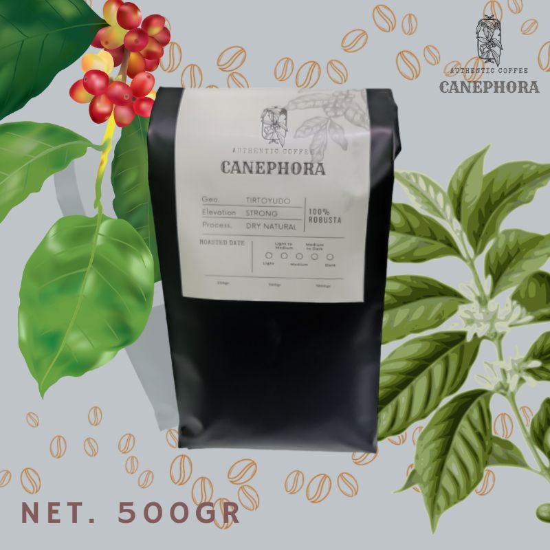 Jual Kopi Bubuk Robusta TIRTOYUDO 500GR, CANEPHORA COFFEE free TINTIE ...