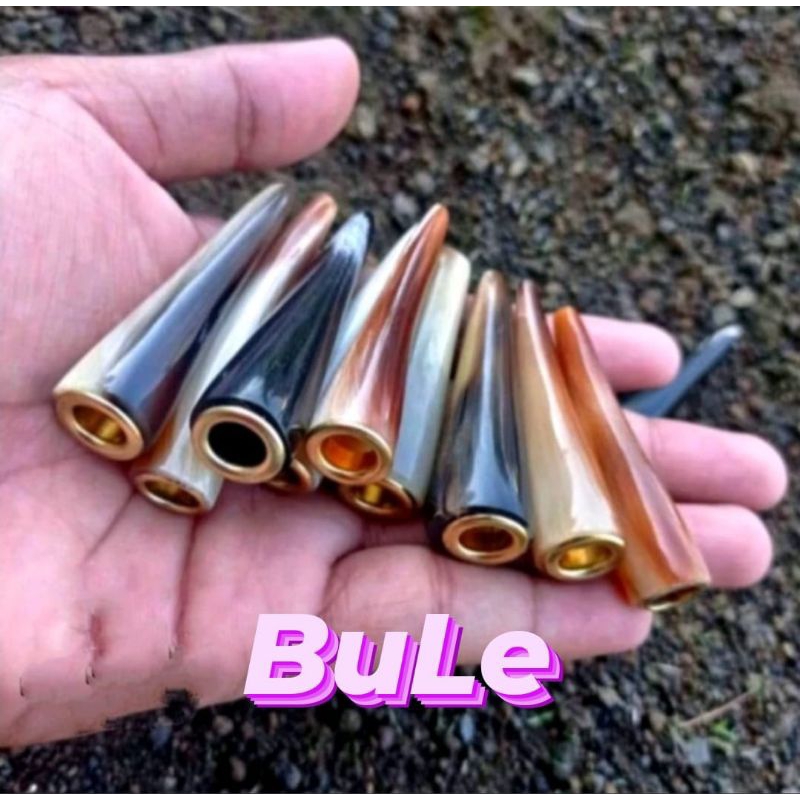 Jual once bulat pipa pipo pipe bulat tanduk Brazil | Shopee Indonesia