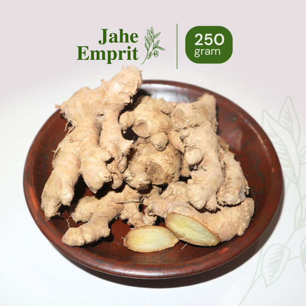 Jual Jahe Emprit 250 gr SEGAR kualitas SUPER | Shopee Indonesia