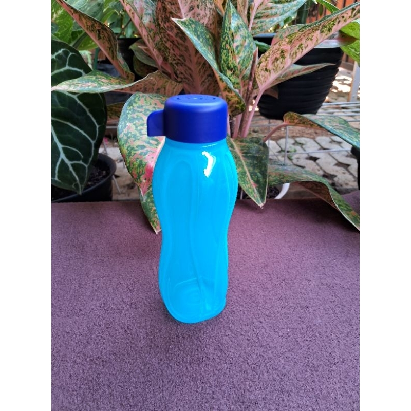 Jual Eco botol asli Tupperware 310 ml, Ori, Baru (bukan PL) | Shopee ...