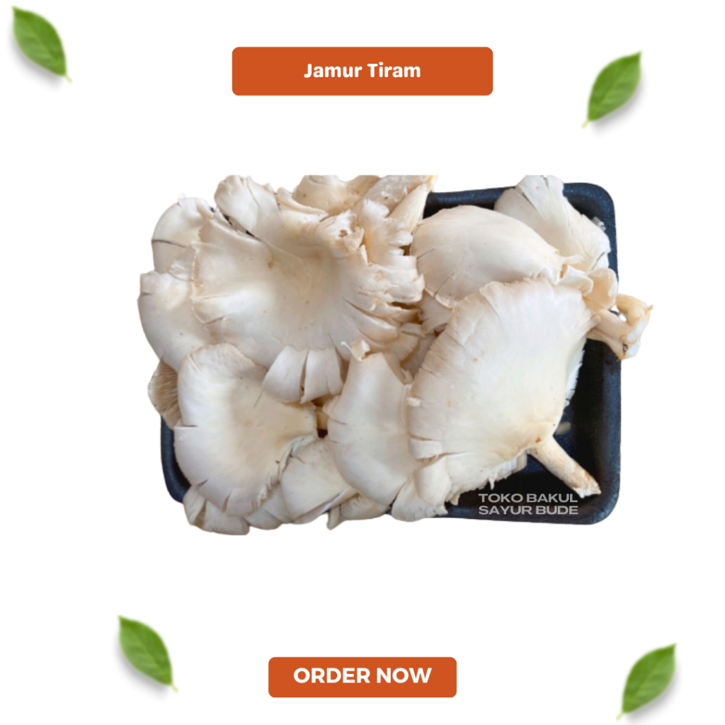 Jual Jamur Tiram - Sayuran Segar - Sayuran Fresh - Sayuran Fresh ...