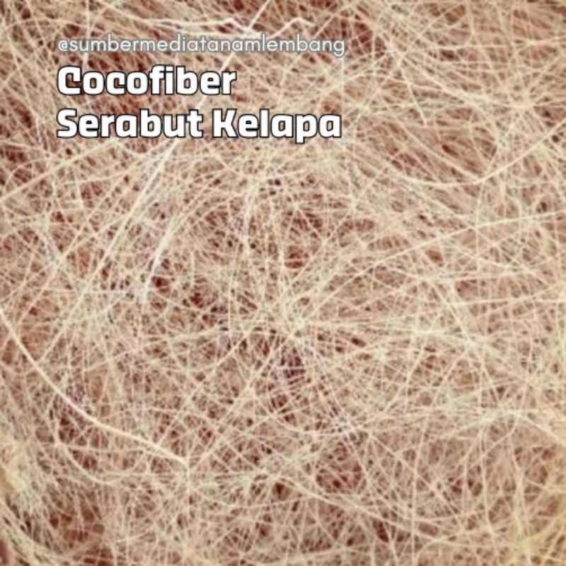 Jual Cocofiber serabut kelapa media tanam | Shopee Indonesia