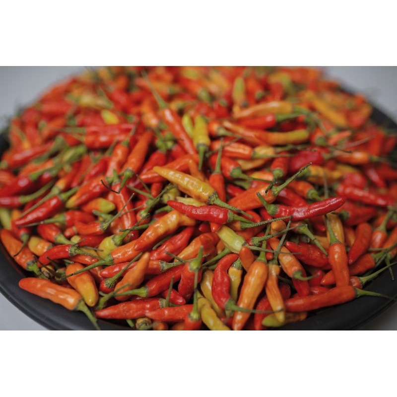 Jual CABAI RAWIT ORI berat 500 gram | Shopee Indonesia