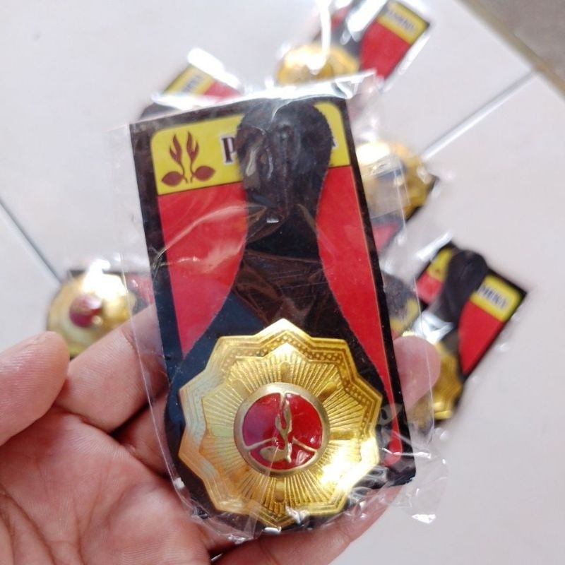 Jual TANDA JABATAN PEMBINA TUMPUK 3 LOGAM SIAGA PENEGAK PENGGALANG GUDEP | Shopee Indonesia