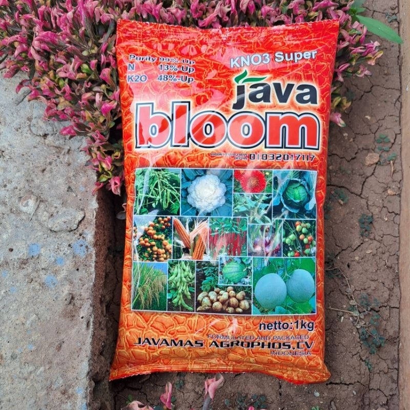 Jual Java Bloom 1kg - KNO3 Super dari Java Mas | Shopee Indonesia